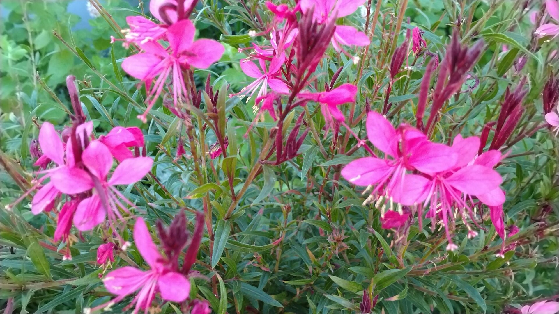 2024.09.29(日) 11:39 / akiさんのモーメント | YAMAP / ヤマップ