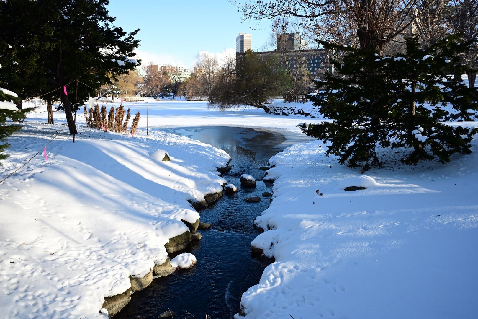 岡田山（中島公園） / KIDさんの札幌市の活動データ | YAMAP / ヤマップ