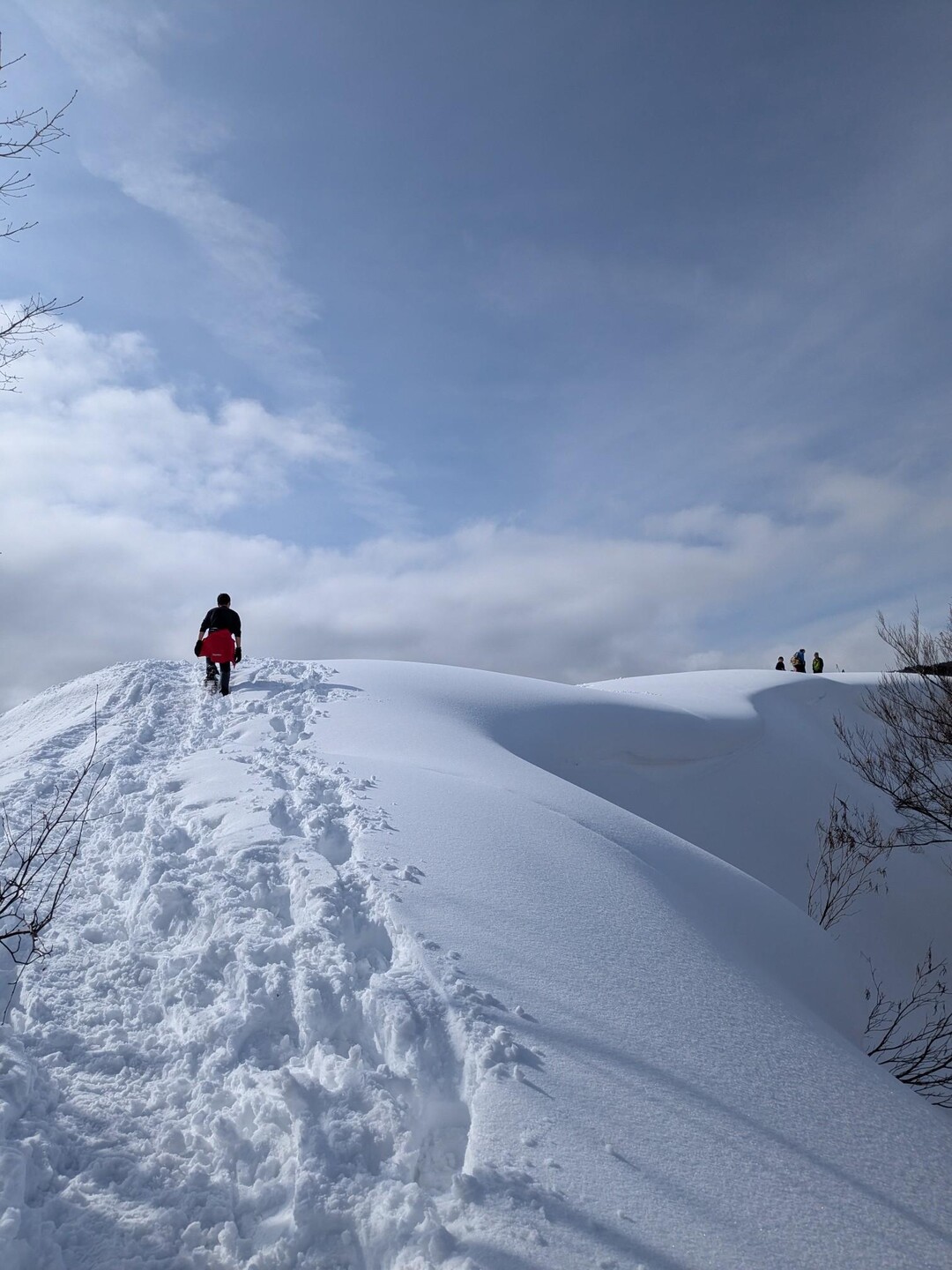 西山 / HIDEさんの取立山の活動日記 | YAMAP / ヤマップ