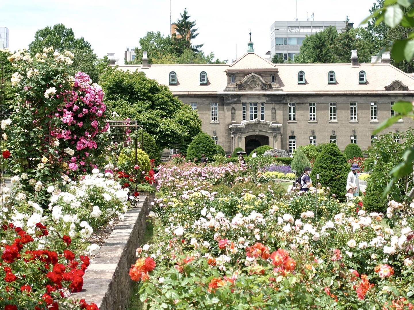 2023.06.23(金) 札幌市大通公... / yosi＆ryoさんのモーメント | YAMAP / ヤマップ