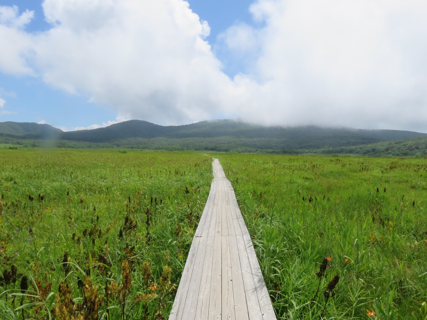 2021.08.07(土) 02:25 / ケロケロ🐸🐸🐸さんのモーメント | YAMAP / ヤマップ
