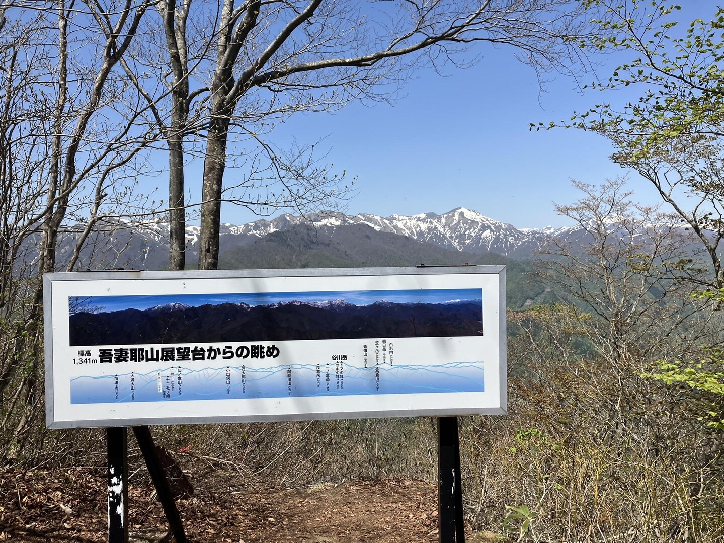 吾妻耶山 みなかみトレイル試走2023-5-4 / MKoboさんの吾妻耶山・大峰山の活動日記 | YAMAP / ヤマップ
