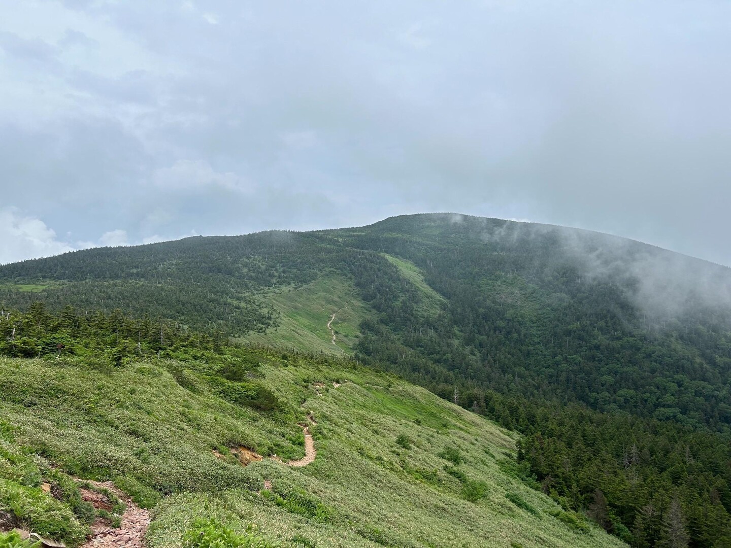西大巓・西吾妻山（僕の細道・令和編） / yhmgcさんの吾妻山・一切経山の活動データ | YAMAP / ヤマップ