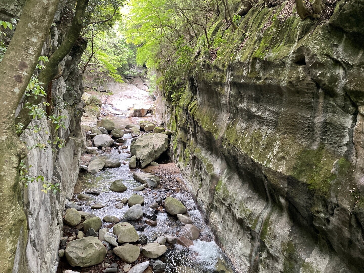 Marry🐾さんの投稿したフィールドメモ | YAMAP / ヤマップ