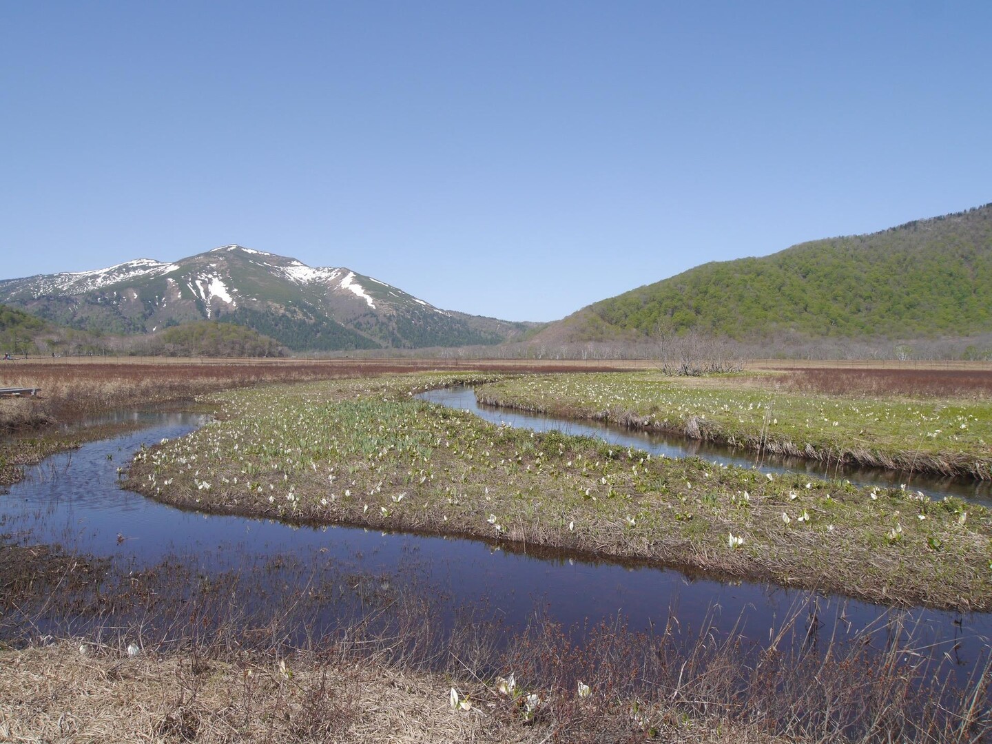 尾瀬240518-19 / アオヤマさんの尾瀬・燧ヶ岳の活動データ | YAMAP / ヤマップ
