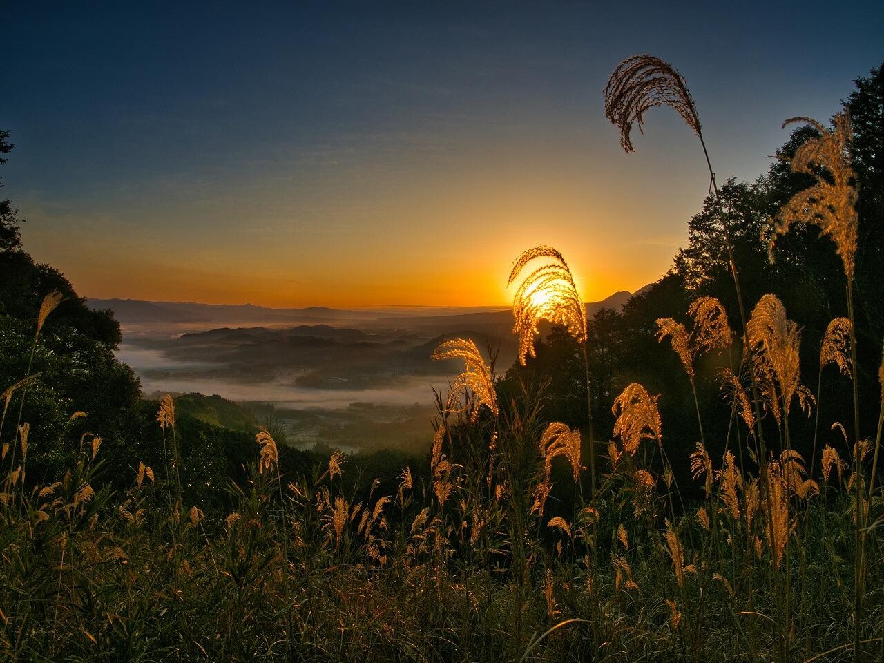 魚野第二展望台：2枚目 モノクロ調現像 ... / sin358さんのモーメント | YAMAP / ヤマップ