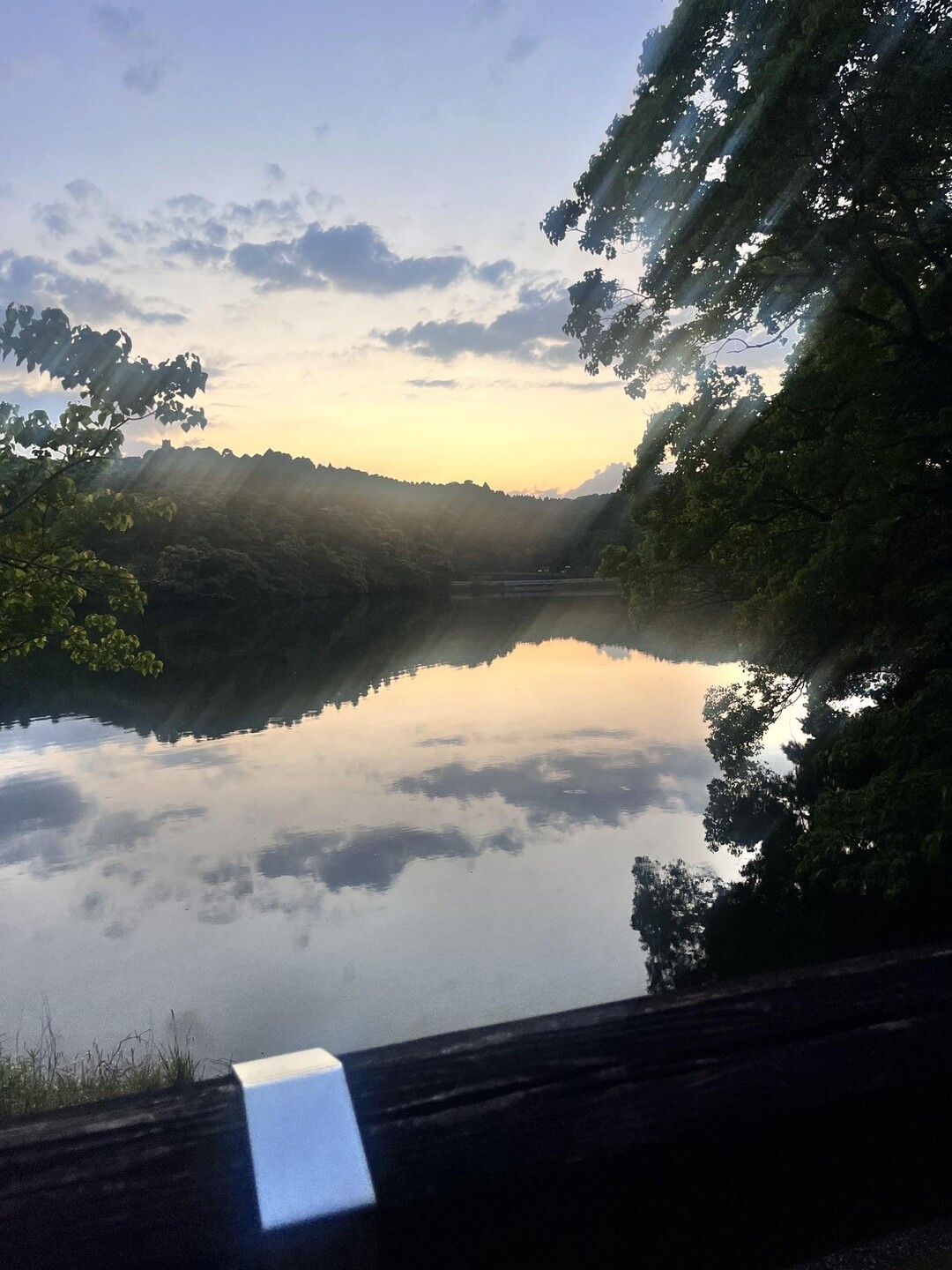 2024-05-15-1052☀️135/365 / たま さんのウォーキングの活動データ | YAMAP / ヤマップ