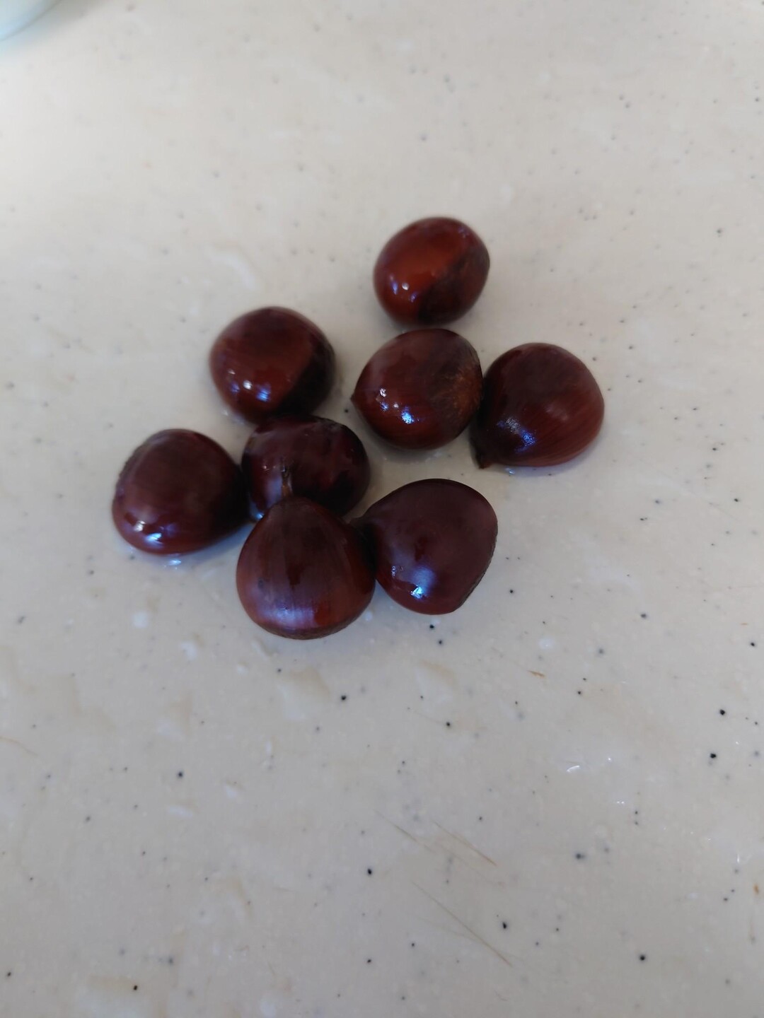 栗が落ちていると仕事中も山道を歩いていて... / dewarsさんのモーメント | YAMAP / ヤマップ