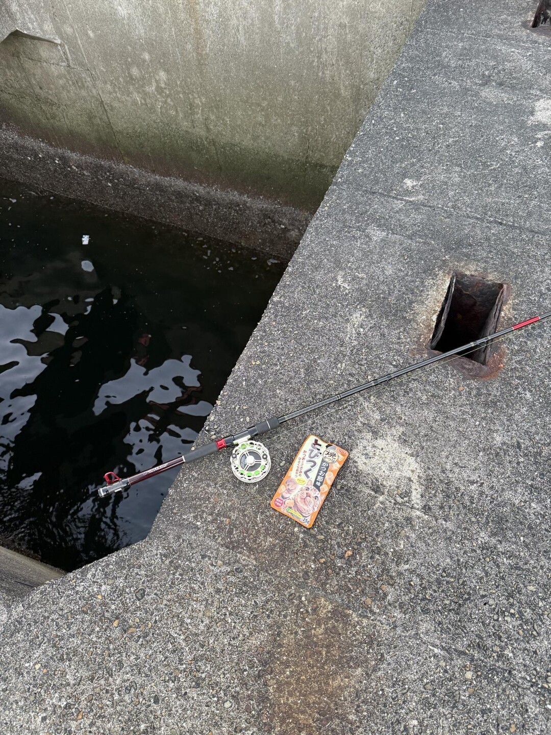 今シーズン2回目の黒鯛釣りに大阪へ 潮が... / masayanさんのモーメント | YAMAP / ヤマップ