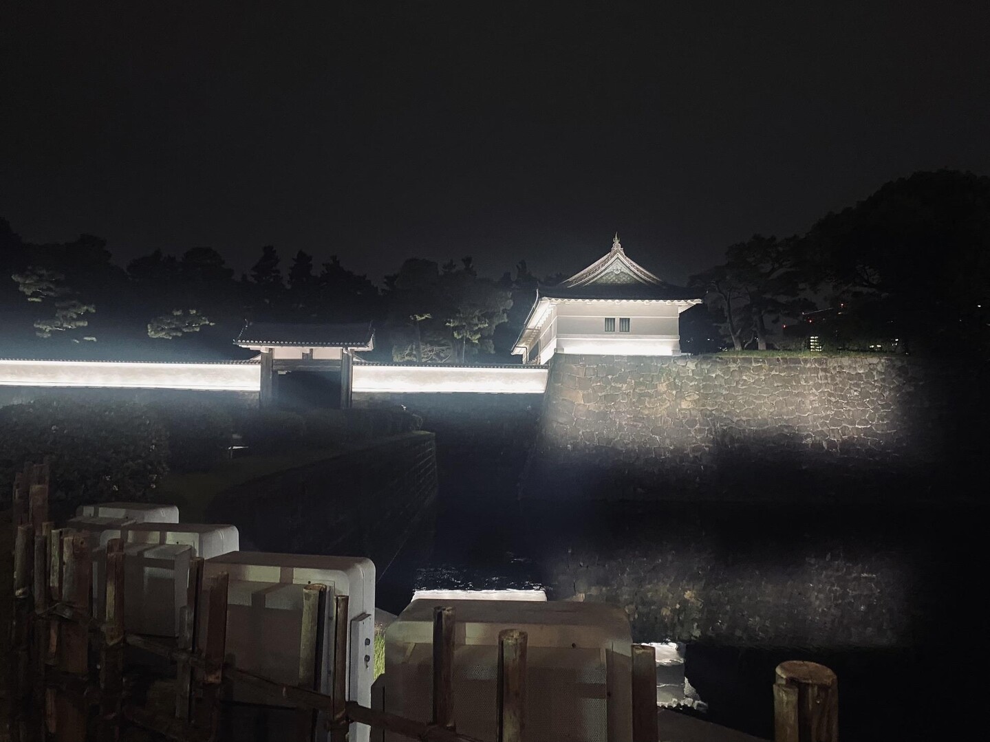 皇居ラン / yamaha さんのランニングの活動データ | YAMAP / ヤマップ