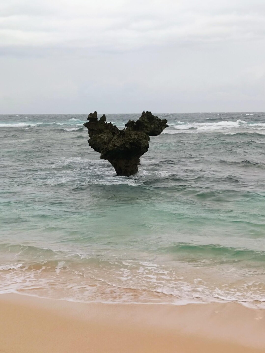 めんそーれ沖縄その2 今日は、台風22号... / kamoさんのモーメント | YAMAP / ヤマップ