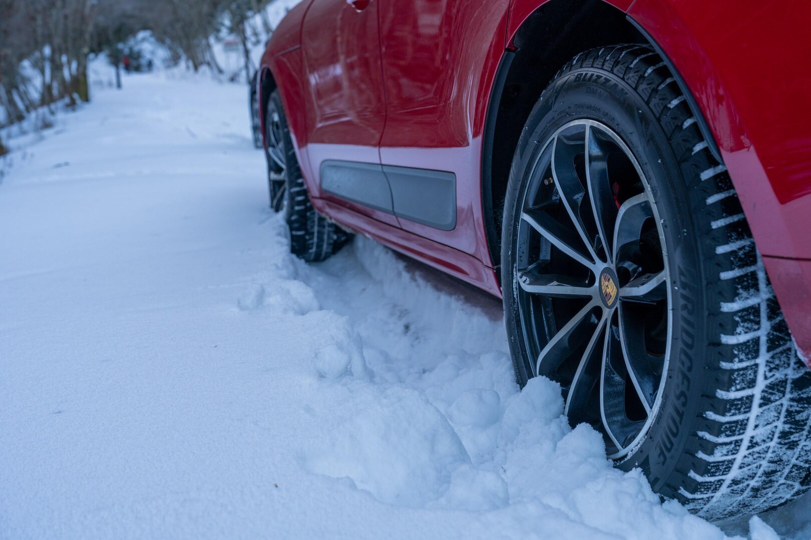 日光白根山 / daisuke sagawaさんの日光白根山・五色山・錫ヶ岳の活動データ | YAMAP / ヤマップ