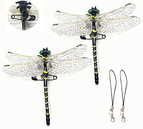 遅ればせながら、自分も「おにやんまくん」... / NYAAさんのモーメント | YAMAP / ヤマップ