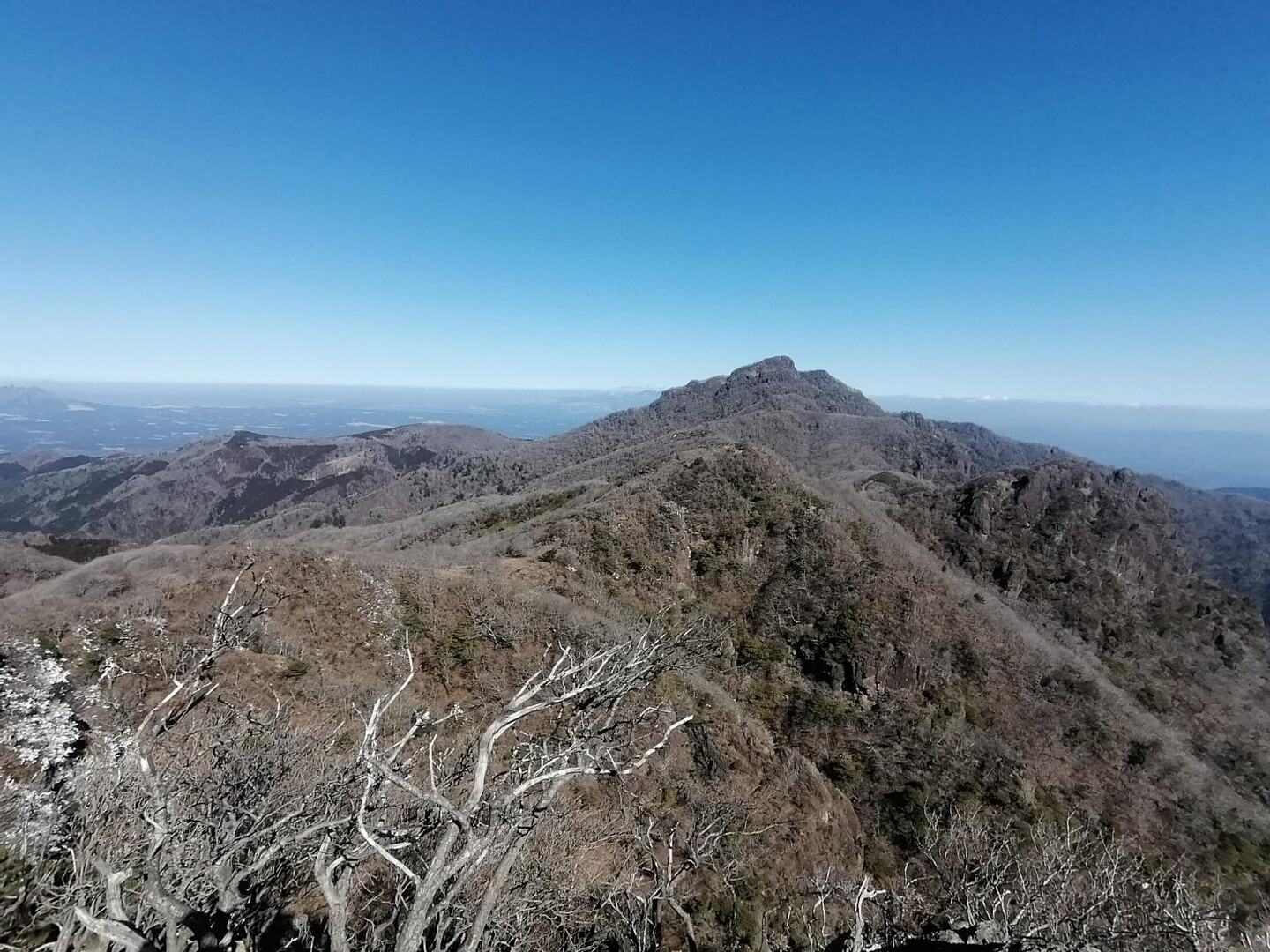 再び障子岳 / TK-1111さんの祖母山の活動データ | YAMAP / ヤマップ
