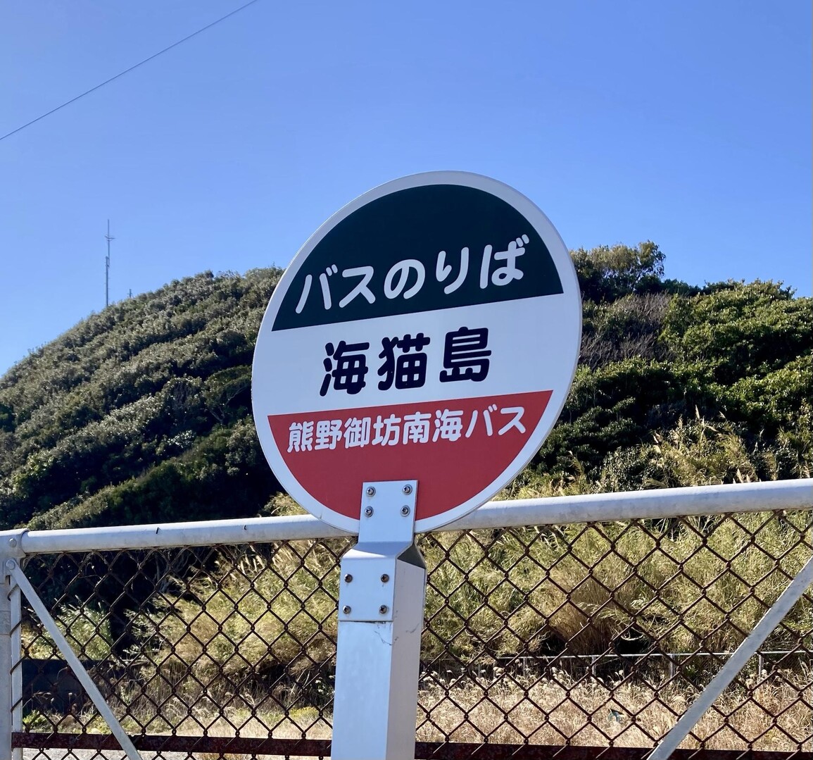 ロード、クロカン90分練習 天気良かった... / け〜とらさんのモーメント | YAMAP / ヤマップ