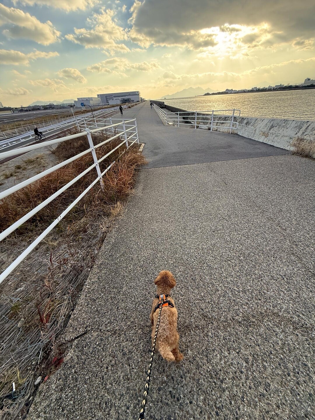 雨があがればお散歩日和🌈 君が行こう... / Traverse！ michioさんのモーメント | YAMAP / ヤマップ