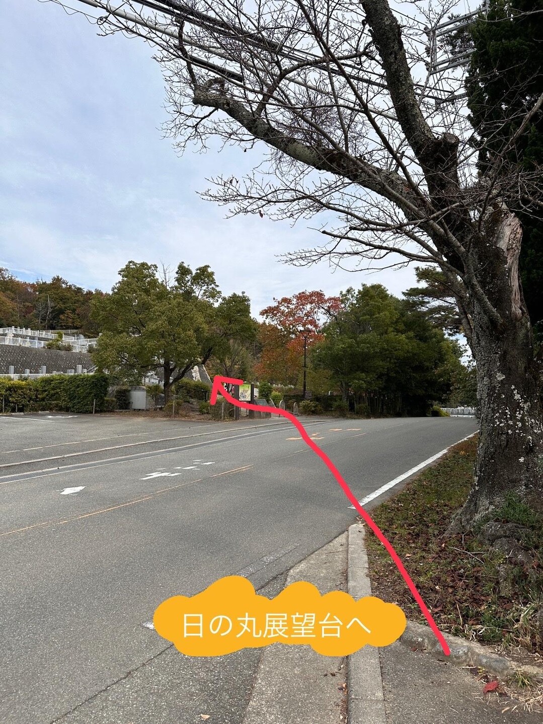 ERlii*さんの投稿したフィールドメモ | YAMAP / ヤマップ