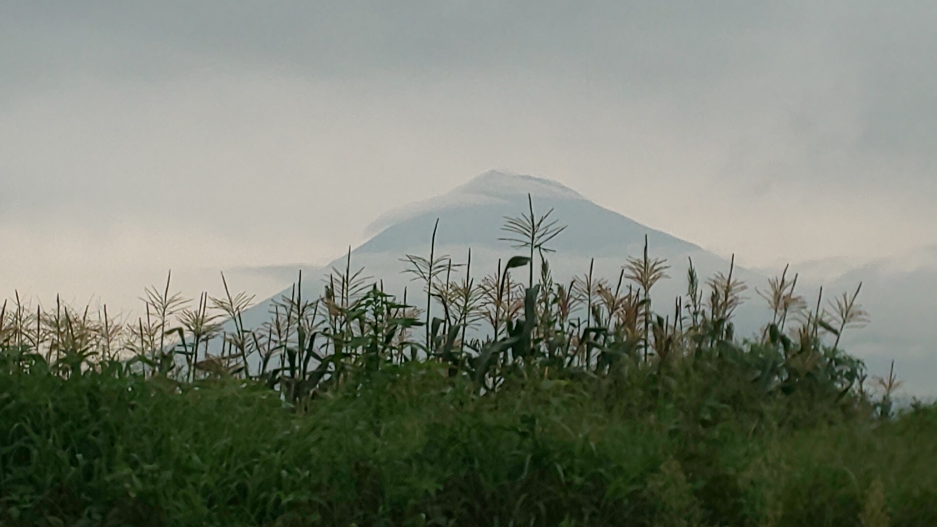 2022.07.17(日) 21:29 / なおさんのモーメント | YAMAP / ヤマップ