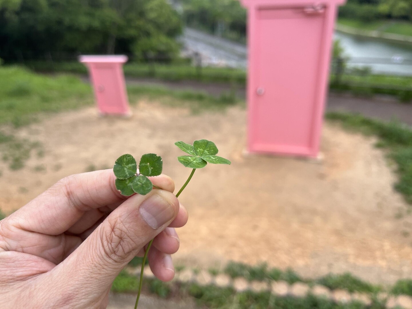 金比羅山 / yanmaさんの北九州市（小倉北区・戸畑区・八幡東区）の活動データ | YAMAP / ヤマップ