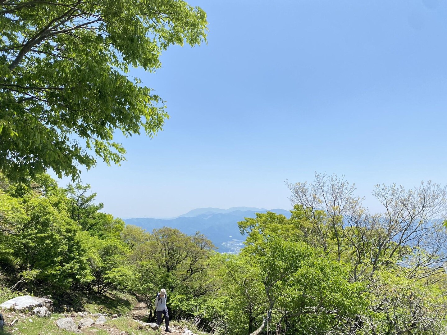 若葉彩る滋賀の名峰[伊吹山] / k_ta3736さんの伊吹山・伊吹高原・御座峰の活動データ | YAMAP / ヤマップ