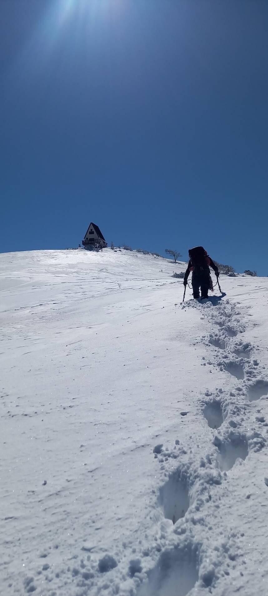 氷ノ山(灯籠岩尾根)遠征5 / isoやんさんの氷ノ山（須賀ノ山）・鉢伏山・瀞川山の活動データ | YAMAP / ヤマップ