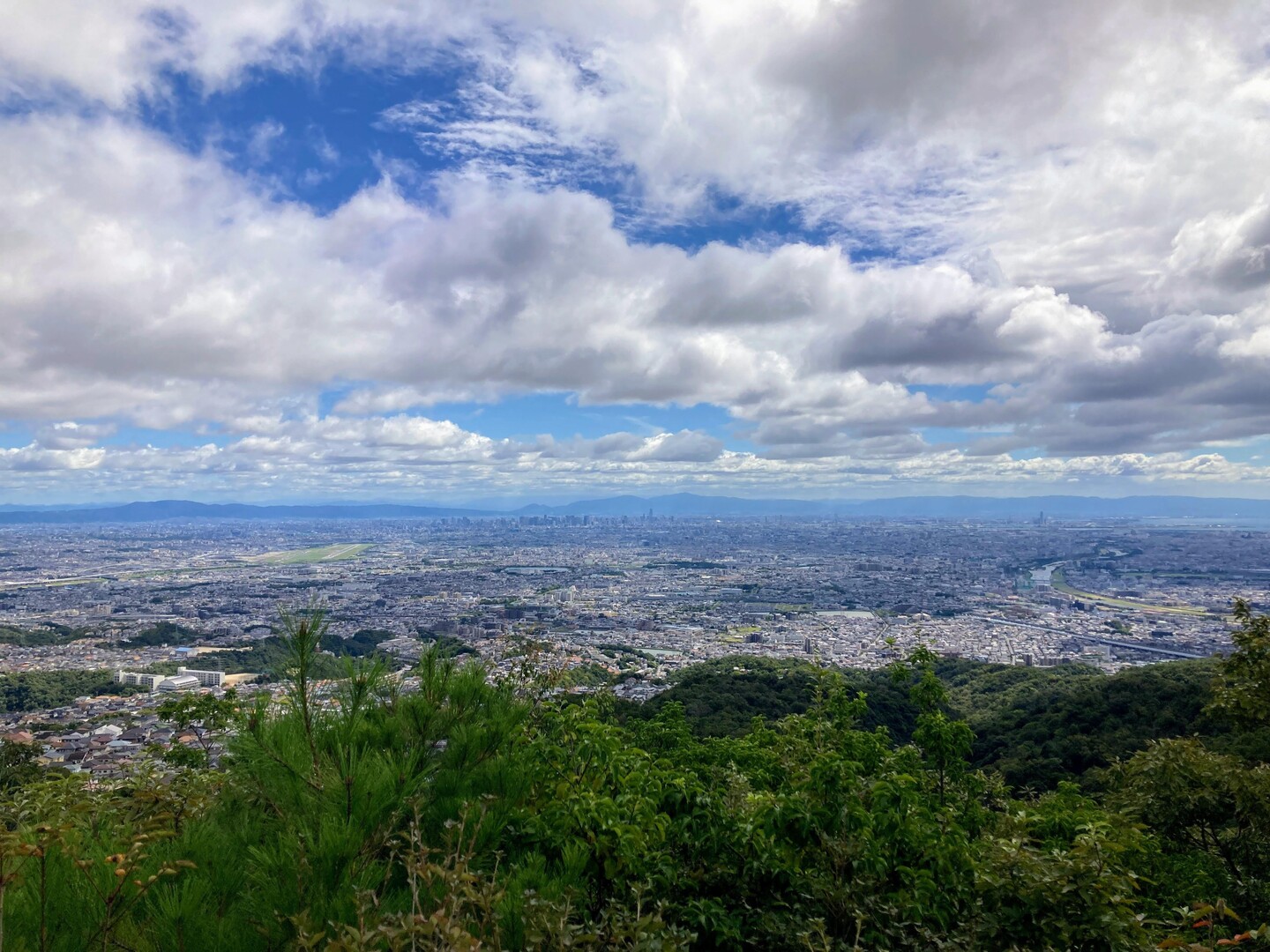 中山・天宮塚 / bin0724さんの中山・大峰山の活動データ | YAMAP / ヤマップ