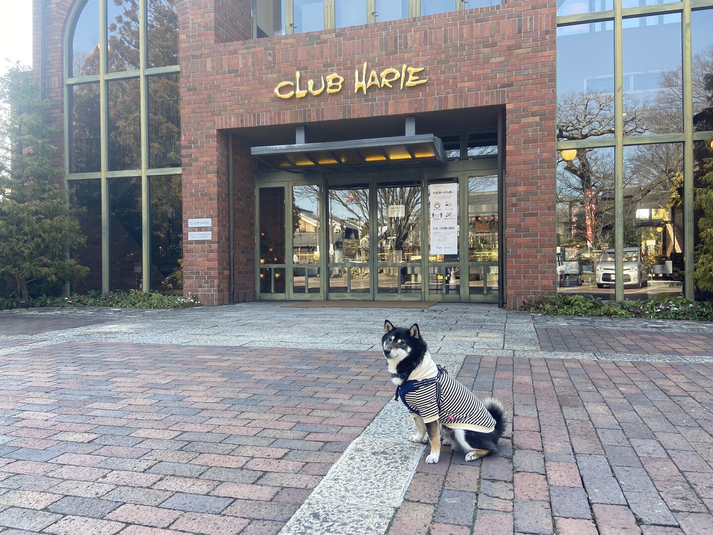 Biwadog 料理がメチャ美味しい ワ... / Corchanさんのモーメント | YAMAP / ヤマップ