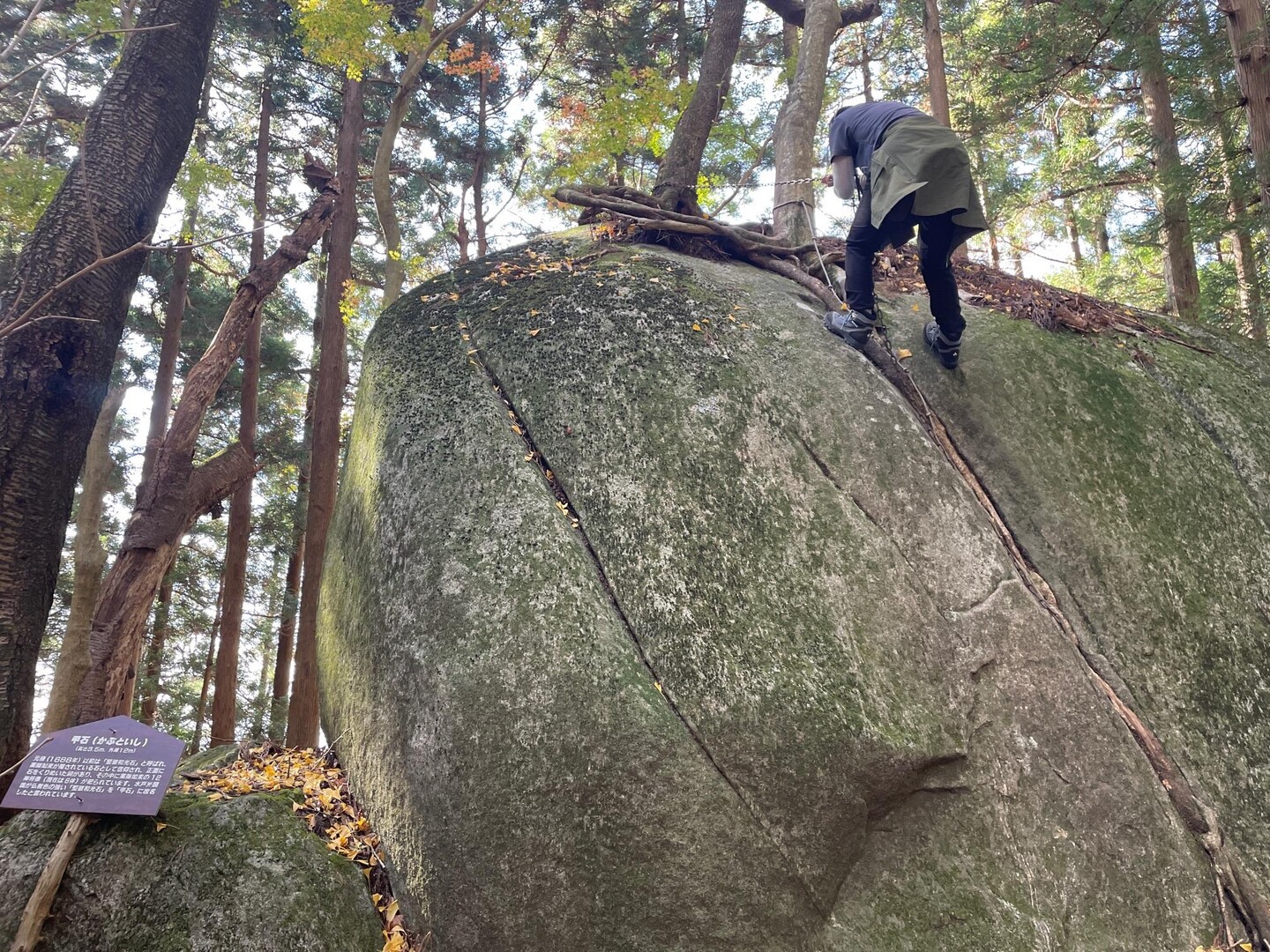 mihoさんの投稿したフィールドメモ | YAMAP / ヤマップ
