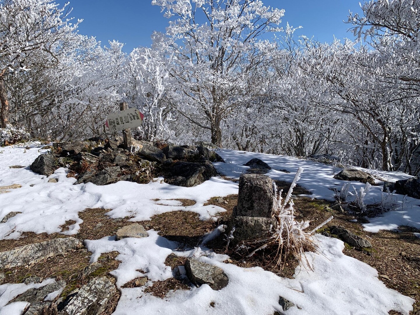 2024.2.3 霧氷を見に明神平へ。天... / ヘルニアさんのモーメント | YAMAP / ヤマップ