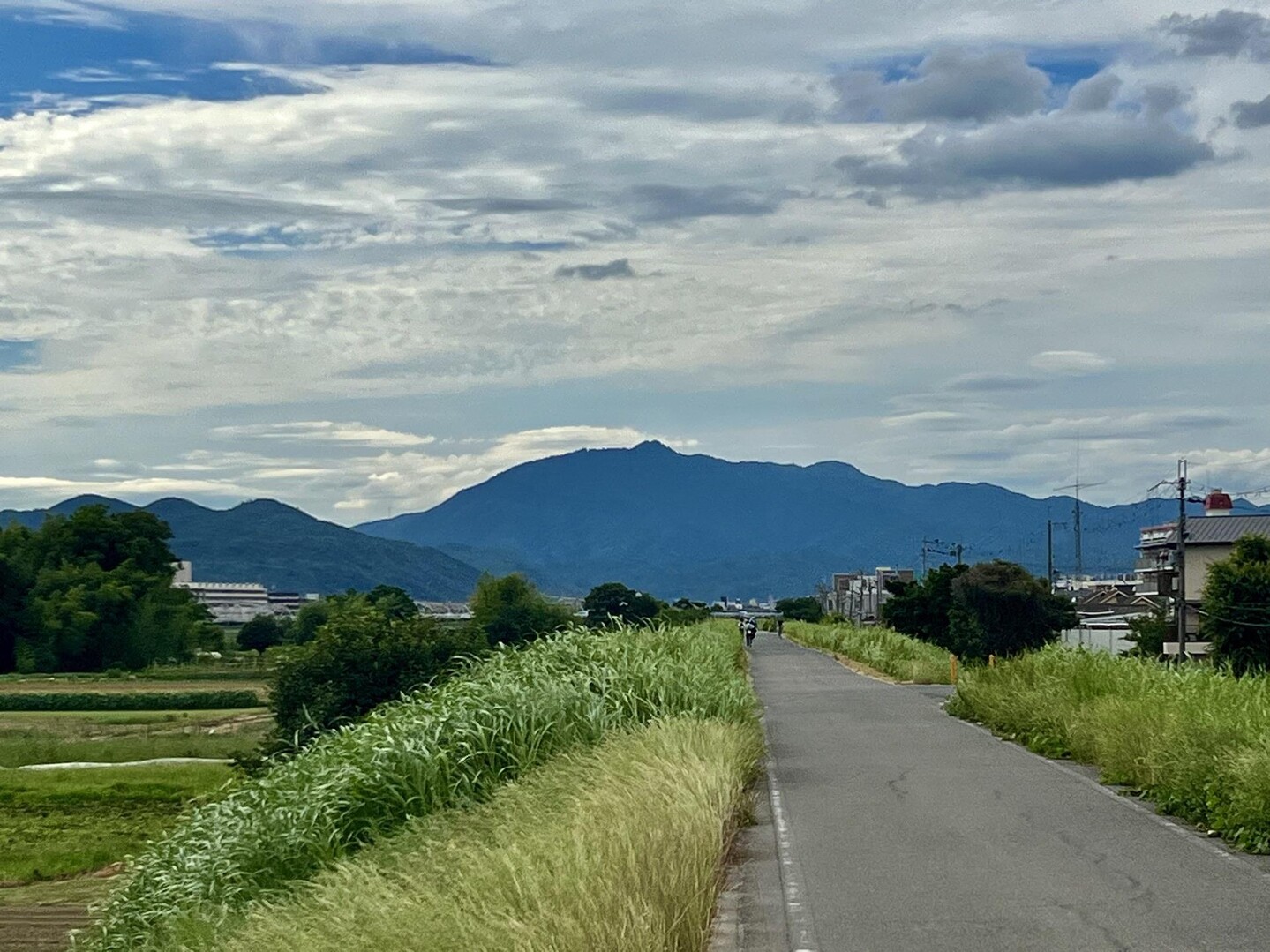 ONEDAY50km記録会2024ウォーキング大会本番 / moboさんのウォーキングの活動データ | YAMAP / ヤマップ