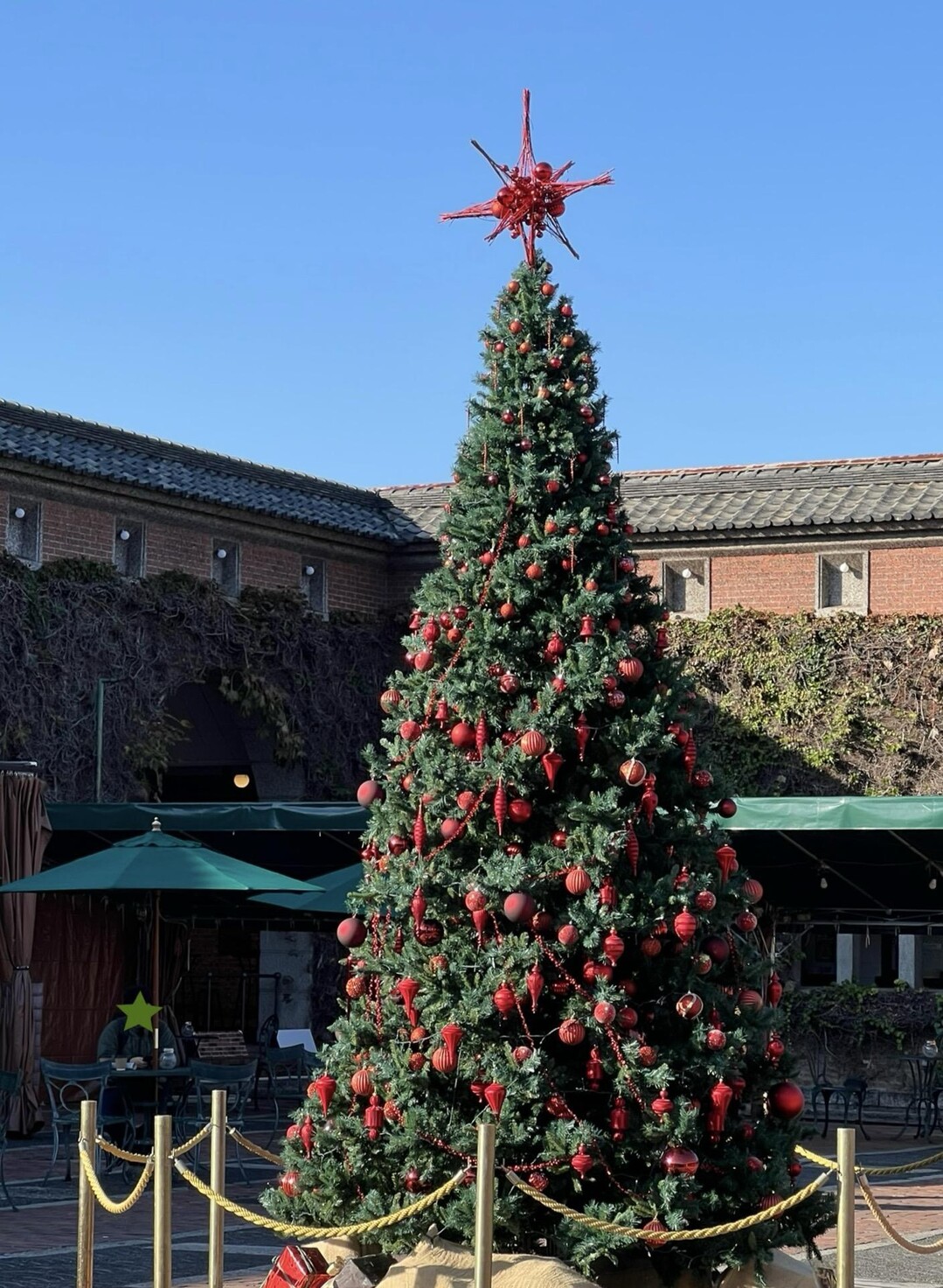 倉敷にもグレーピークが…⁉️😳鶴形山 ️向山 & 夜の岡山城🏯 (岡山2days の1) / Yasunyanさんの倉敷市（倉敷エリア）の活動データ | YAMAP / ヤマップ