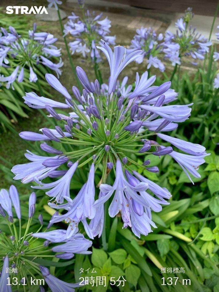 みなさんお久しぶりです😅 2ヶ月以上... / 細マッチョオジさんさんのモーメント | YAMAP / ヤマップ