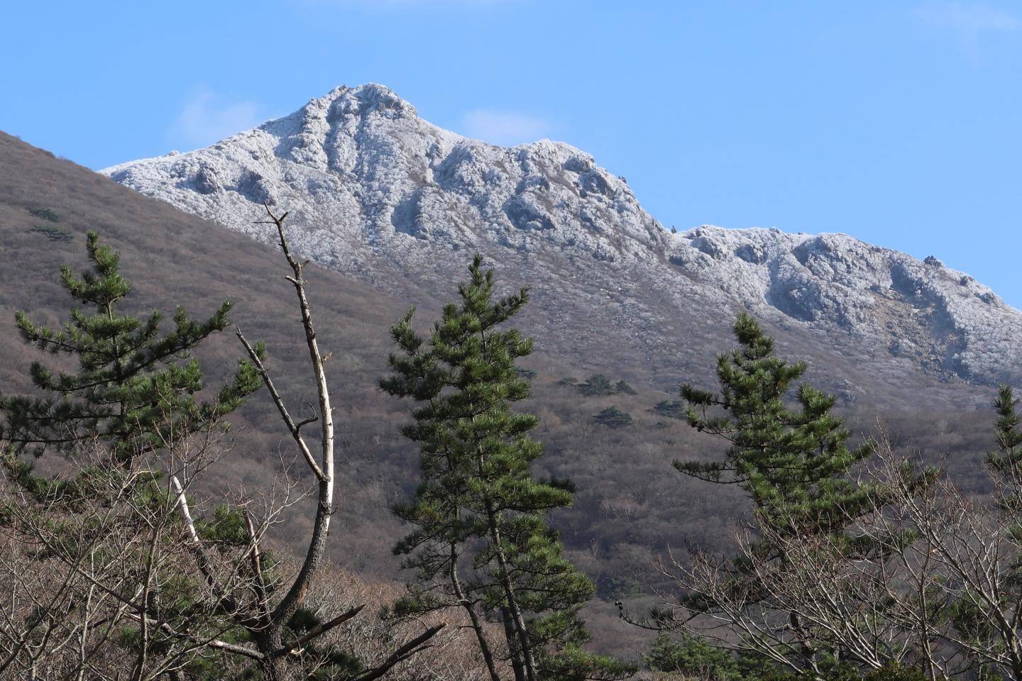 あせび小屋忘年会からの用作公園 / miippさんの九重山（久住山）・大船山・星生山の活動データ | YAMAP / ヤマップ