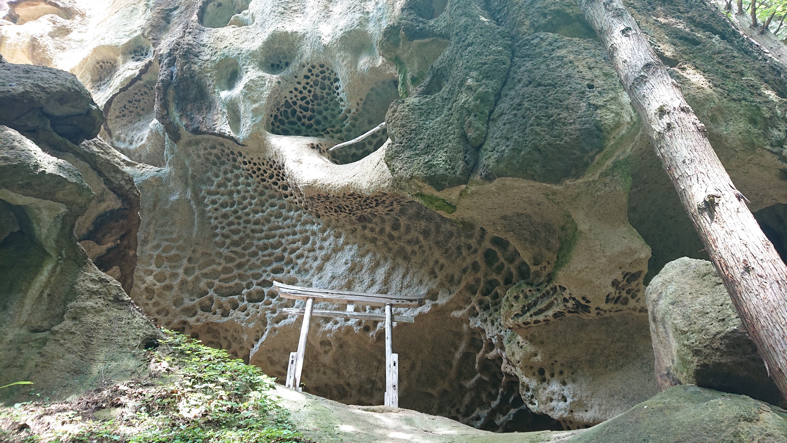 垂水遺跡 / シロクマさんのウォーキングの活動データ | YAMAP / ヤマップ