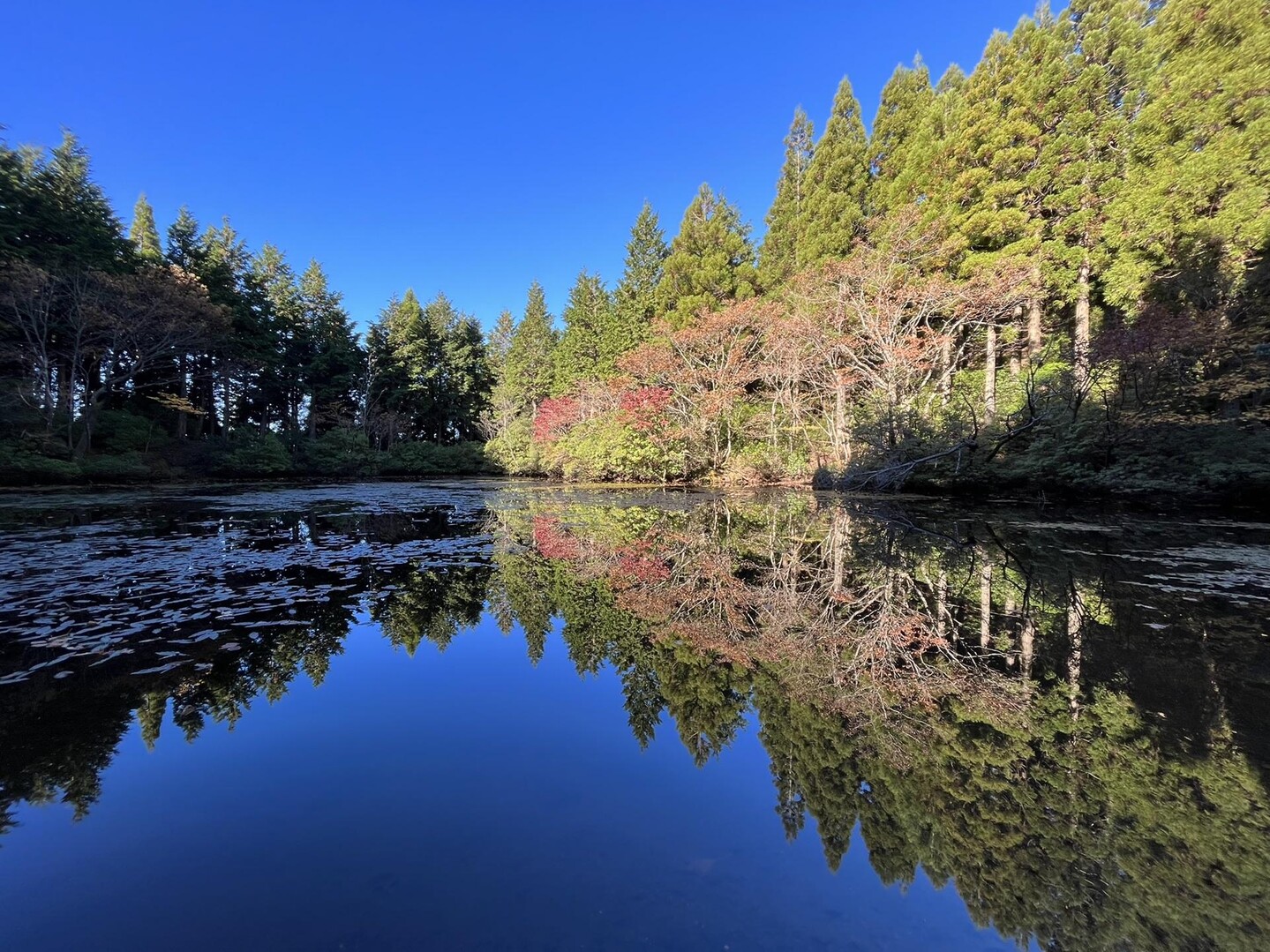 銚子ヶ口・水舟の池・大峠の頭 / yomshtさんの釈迦ヶ岳の活動データ | YAMAP / ヤマップ