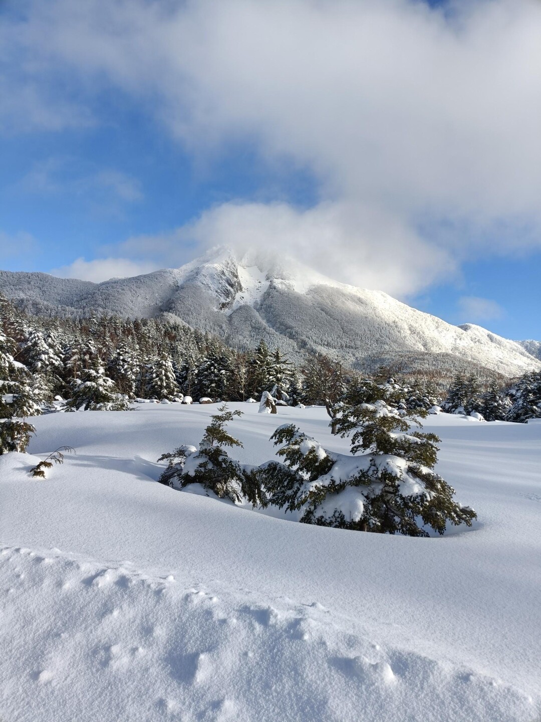 山登らず、楽してます🐧 スノボーやる... / shinjiさんのモーメント | YAMAP / ヤマップ