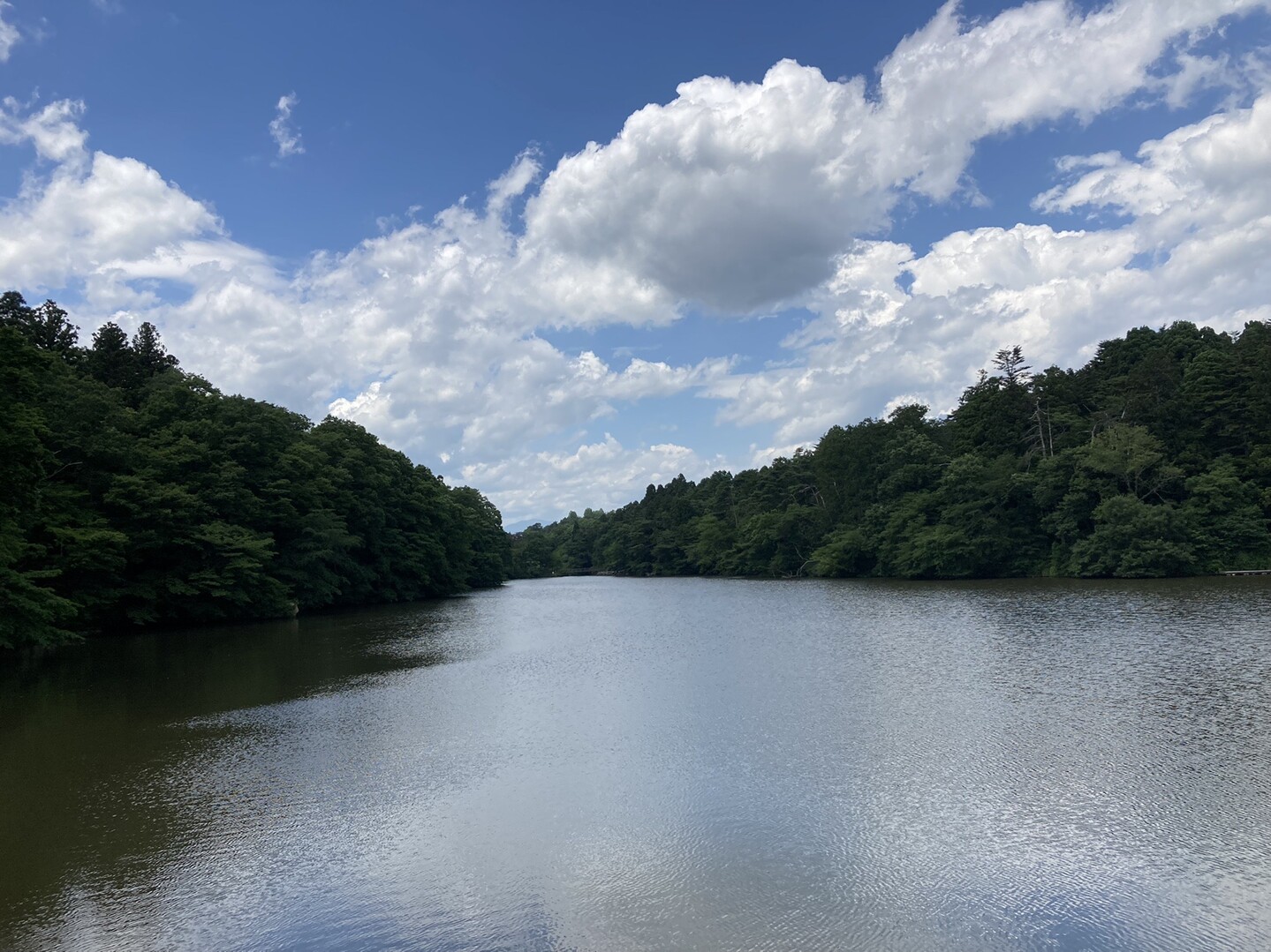 こんにちは^ ^ 今日も真夏日です。 ... / OBsunさんのモーメント | YAMAP / ヤマップ