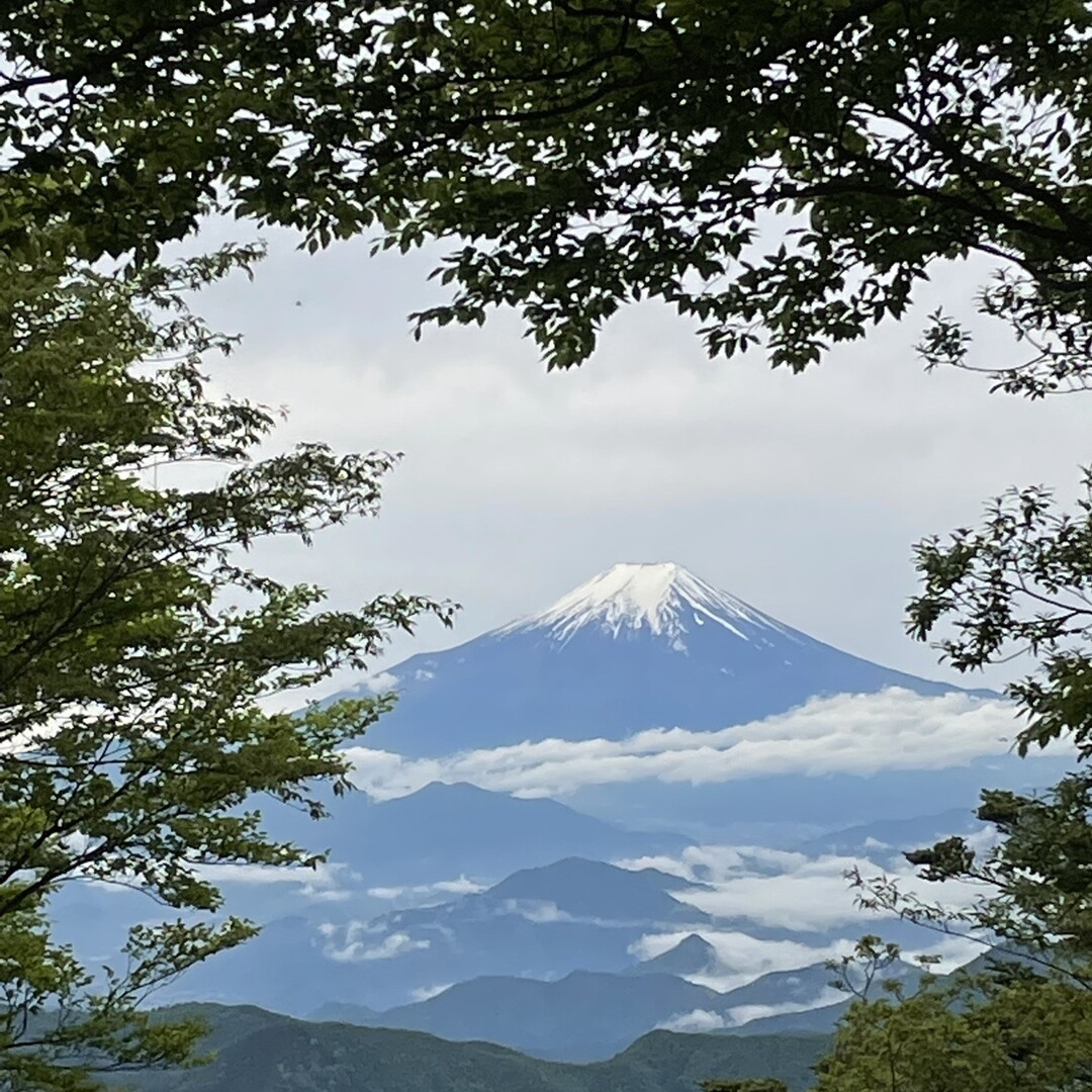 三頭山(周遊コース) / ULhikerさんの三頭山・槇寄山・土俵岳の活動データ | YAMAP / ヤマップ