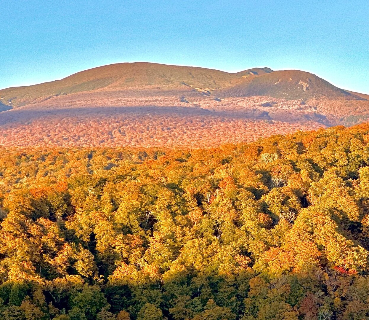 2023-10-24 栗駒山の紅葉狩りドライブ / ischanさんのウォーキングの活動データ | YAMAP / ヤマップ