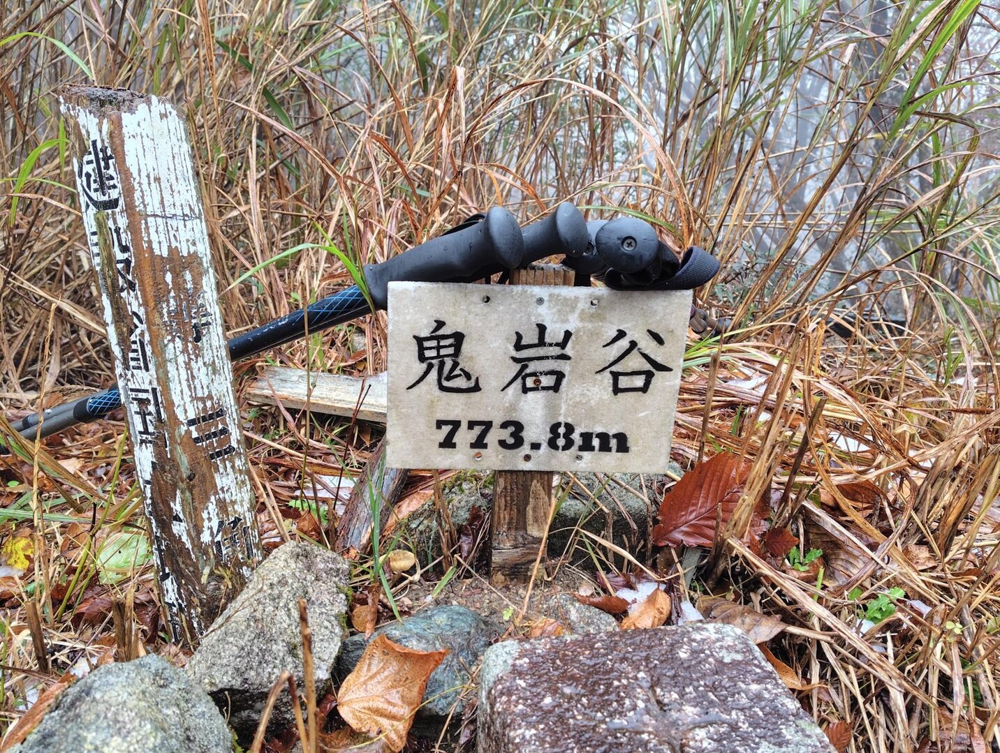 砥石山・前砥石山・鬼岩谷 / N．Mさんの宝満山・三郡山・若杉山の活動日記 | YAMAP / ヤマップ