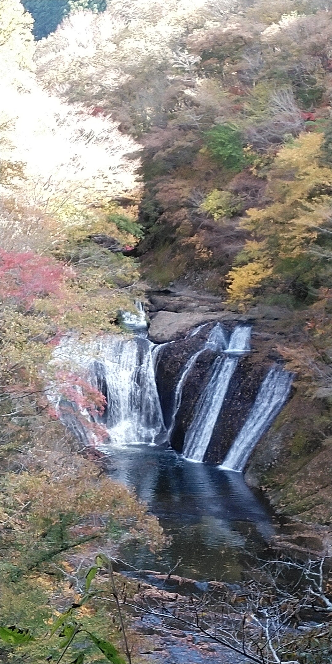 なるさんの投稿したフィールドメモ | YAMAP / ヤマップ