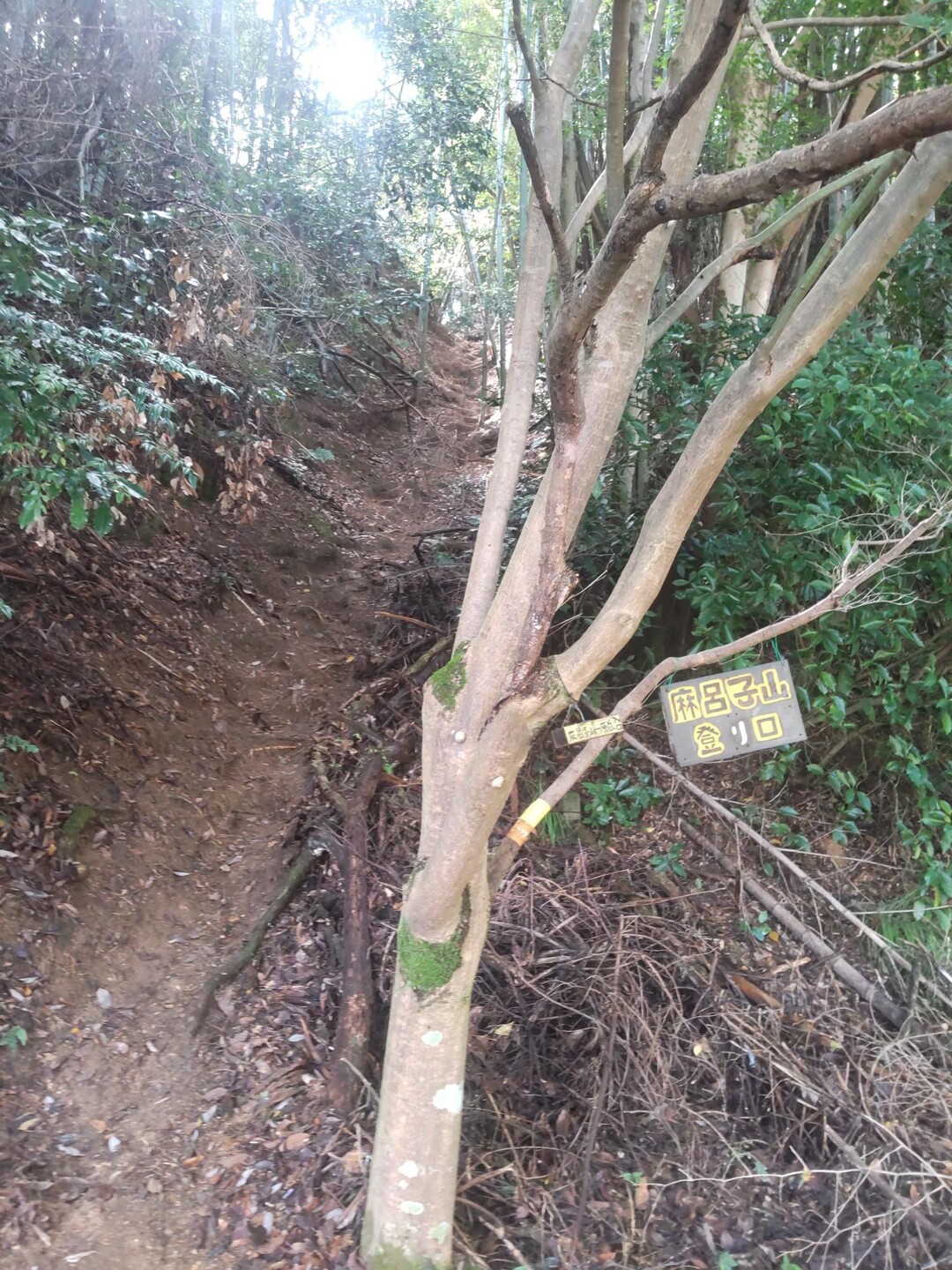 miyukyさんの投稿したフィールドメモ | YAMAP / ヤマップ