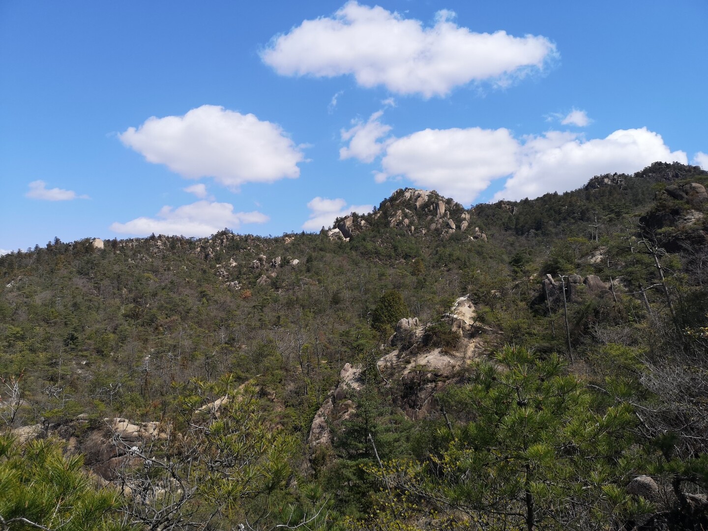 金勝アルプス2020-04-05 / REIKOさんの金勝アルプス（鶏冠山・竜王山）の活動データ | YAMAP / ヤマップ