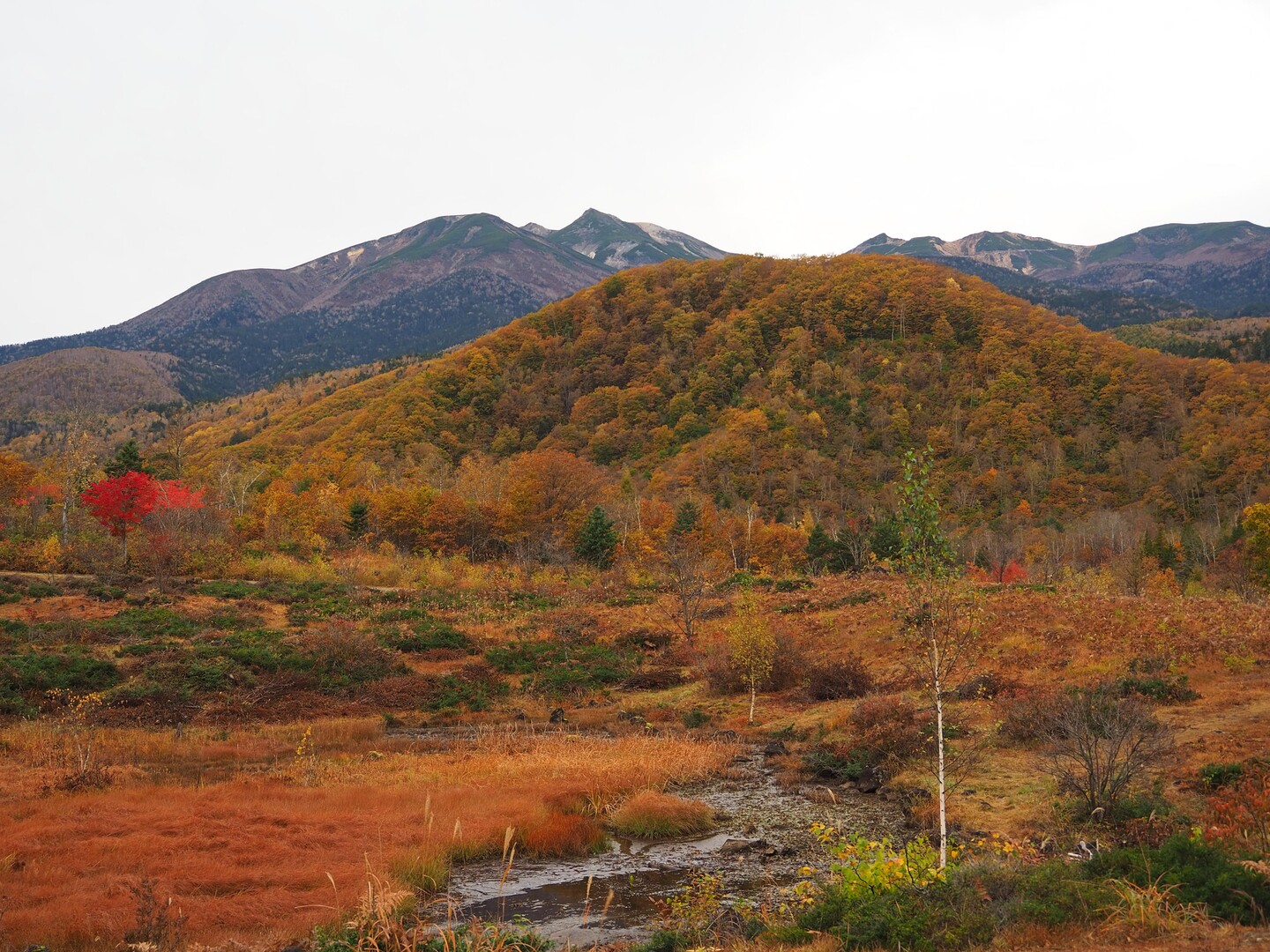 乗鞍高原散策 / ICHI JUNさんの乗鞍岳の活動データ | YAMAP / ヤマップ