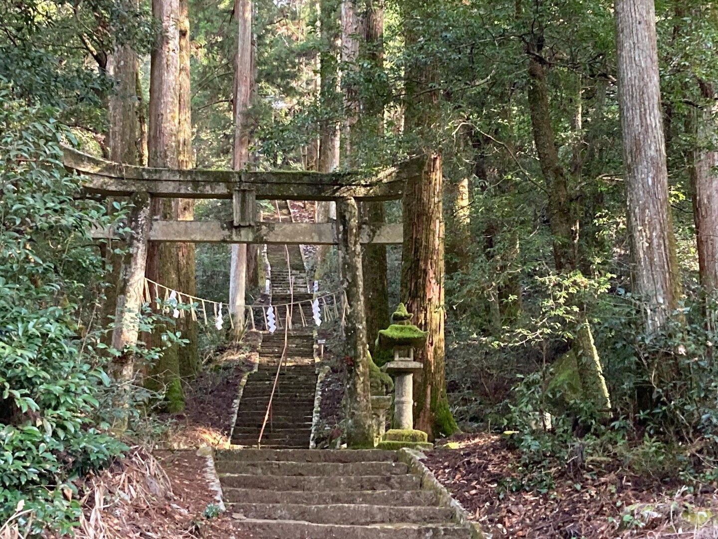 雪が降る前に今淵ケ岳まで / assiさんの面平山の活動データ | YAMAP / ヤマップ