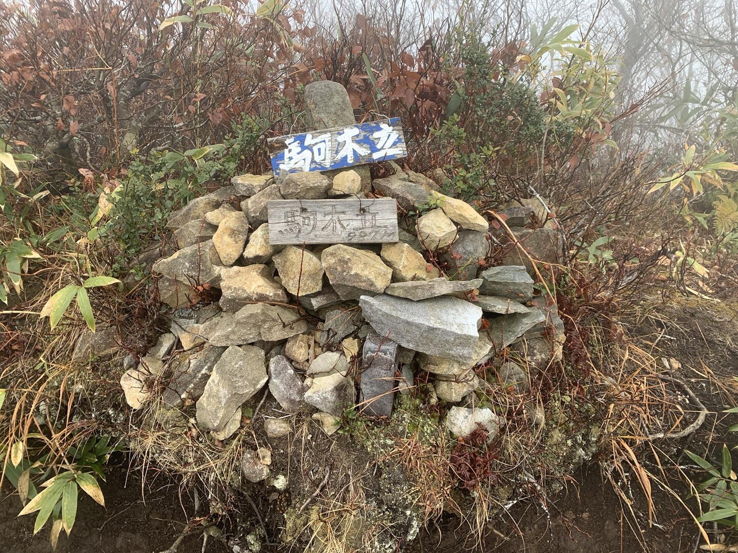 R4.11.13 駒形山・三曲山・三方沢山・田代山・駒木立 / あおかつさんの七時雨山・田代山の活動データ | YAMAP / ヤマップ