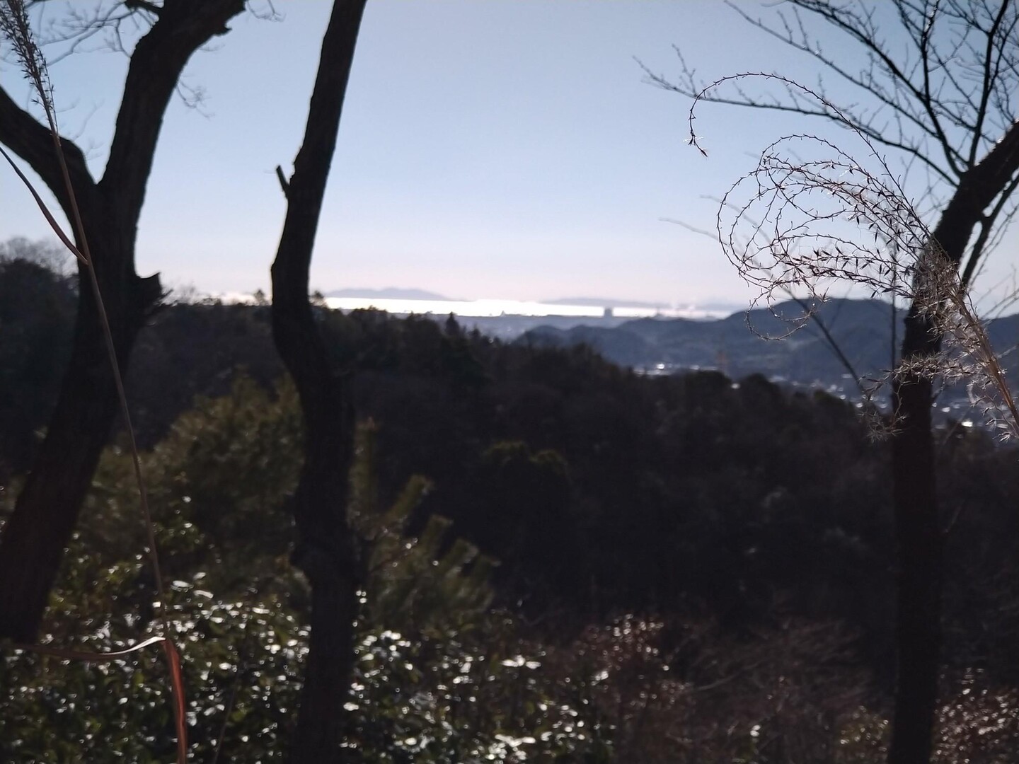 初のルートで八丈岩山 / yakkoさんの八丈岩山の活動データ | YAMAP / ヤマップ