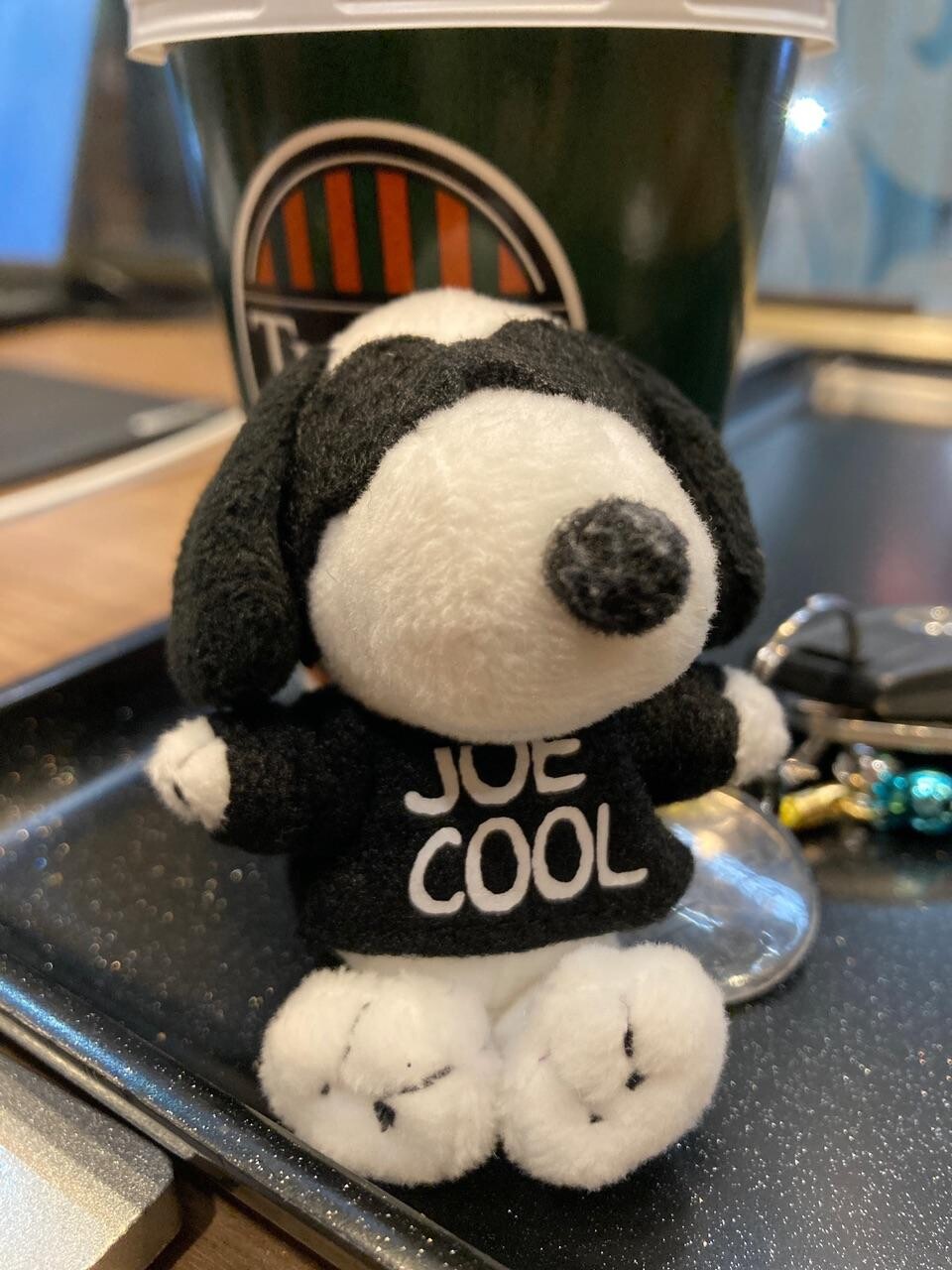 Joe Coolのページ | YAMAP / ヤマップ