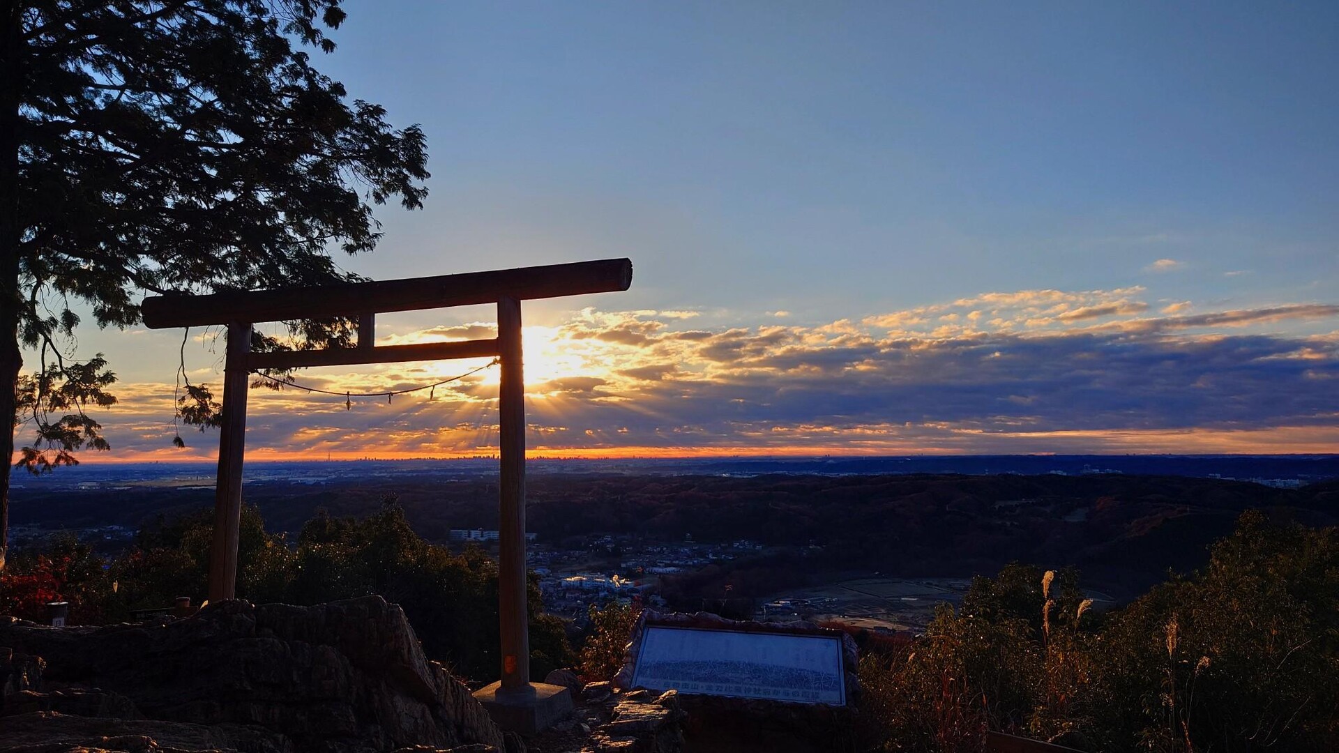 日和田山 / MCボビヲさんの日和田山・物見山の活動データ | YAMAP / ヤマップ