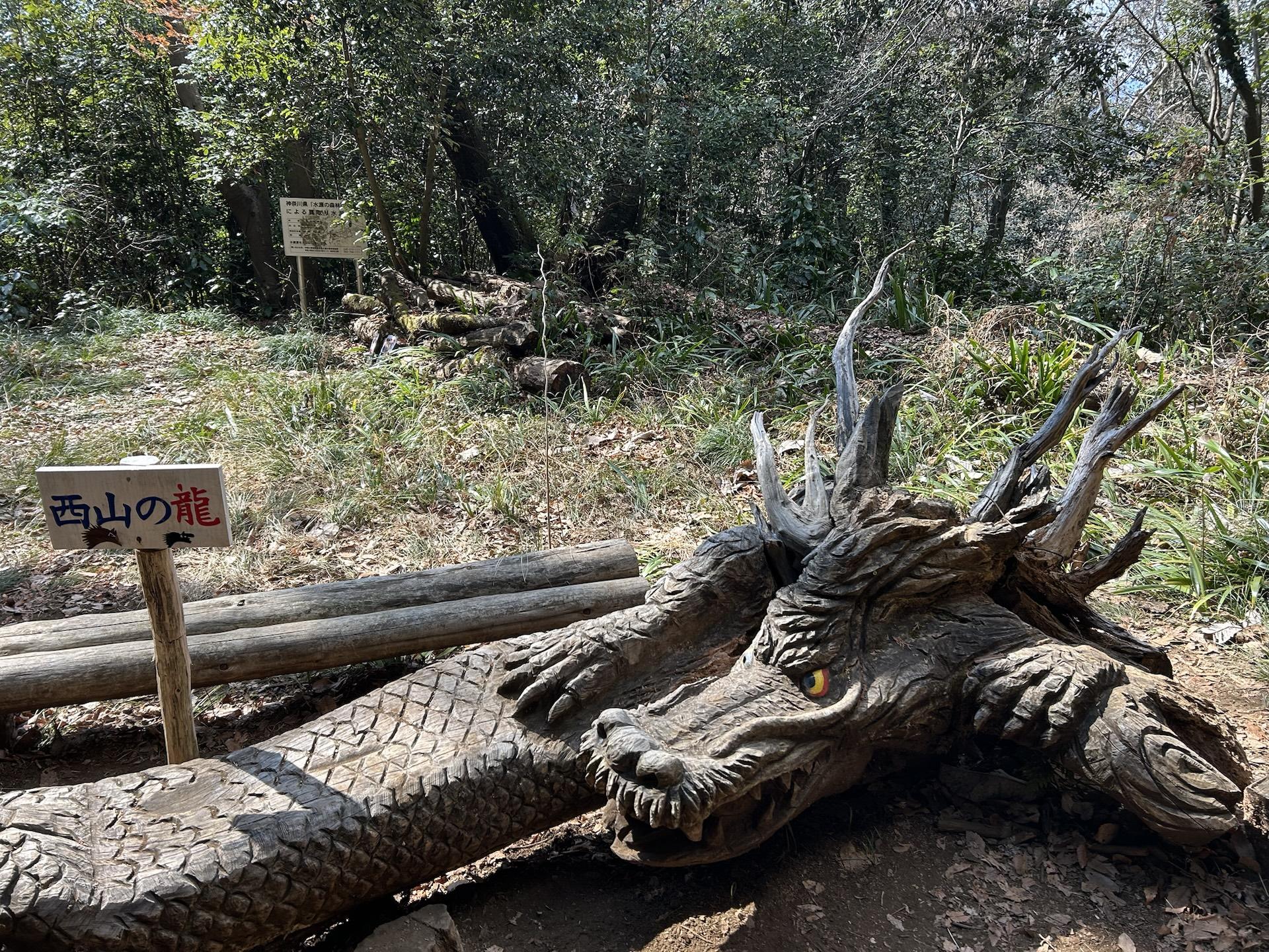 南高尾セブンサミッツ / Mariさんの高尾山・陣馬山・景信山の活動データ | YAMAP / ヤマップ